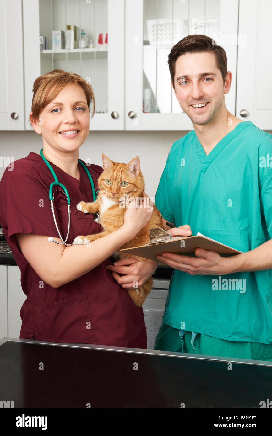 Vets hi-res stock photography and images - Alamy