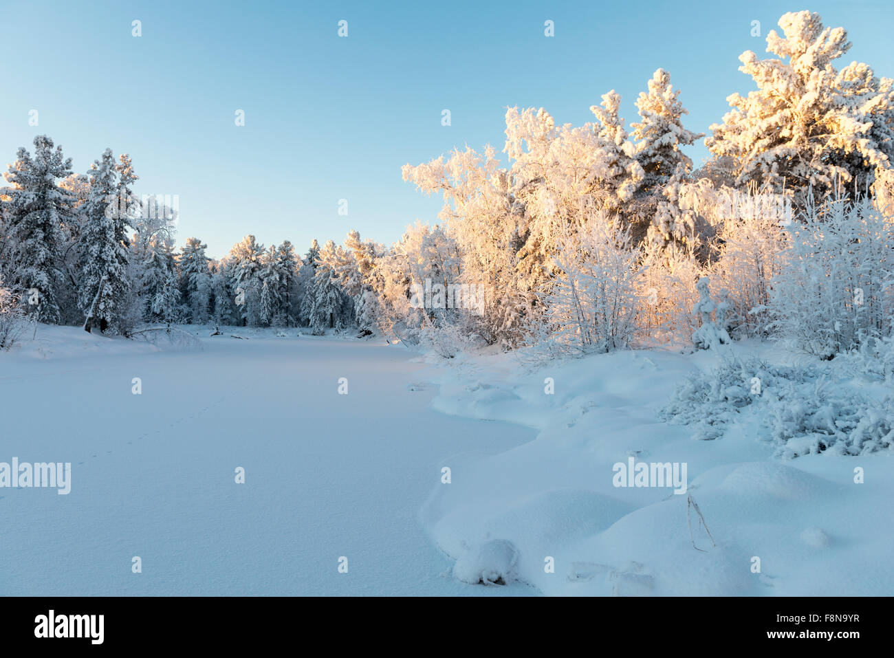 beautiful landscapes of the wild nature of the Yamal Peninsula, Russia ...