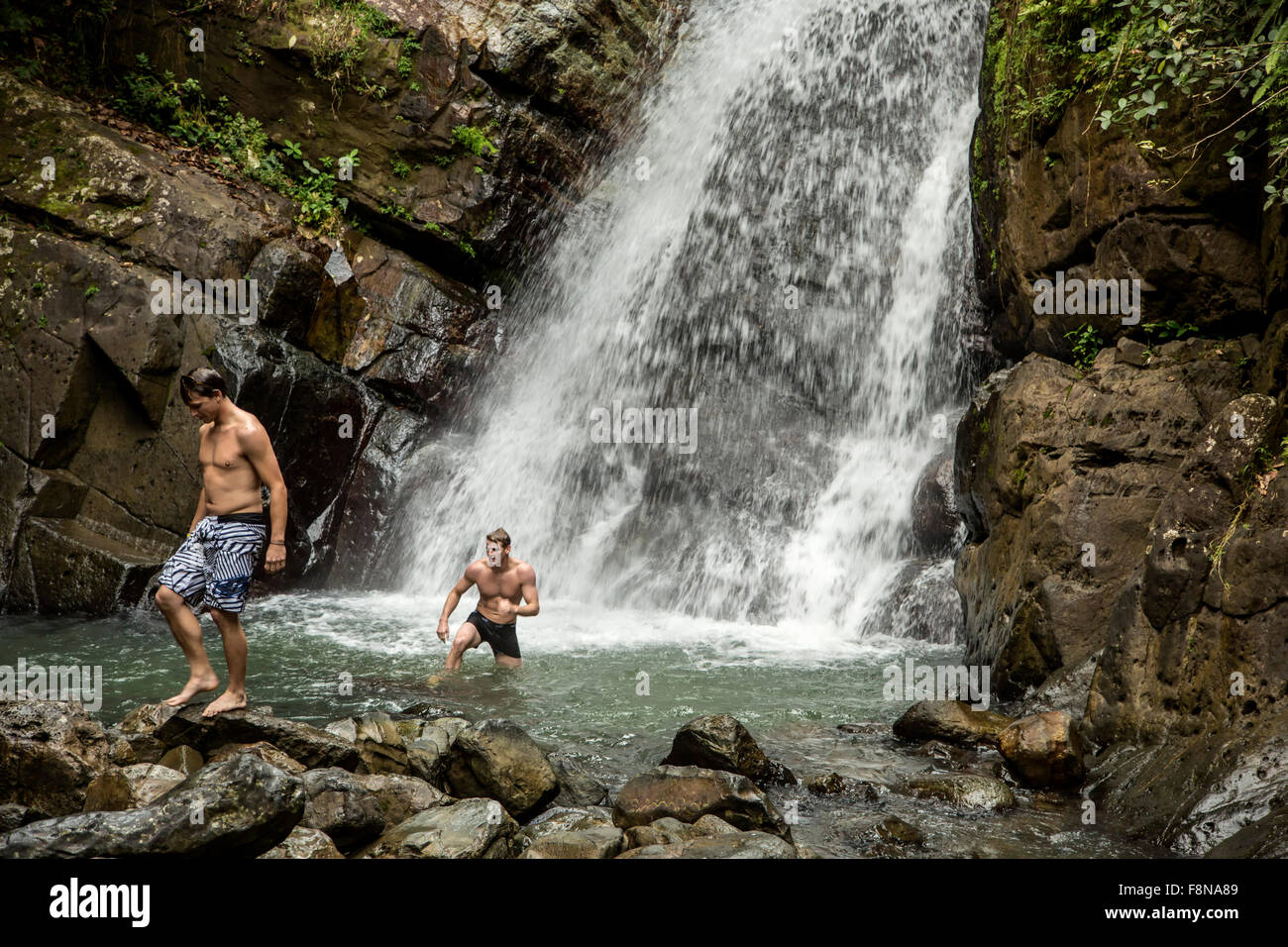 Swimmers at La Mina Falls, Caribbean National Forest (El Yunque Rain ...