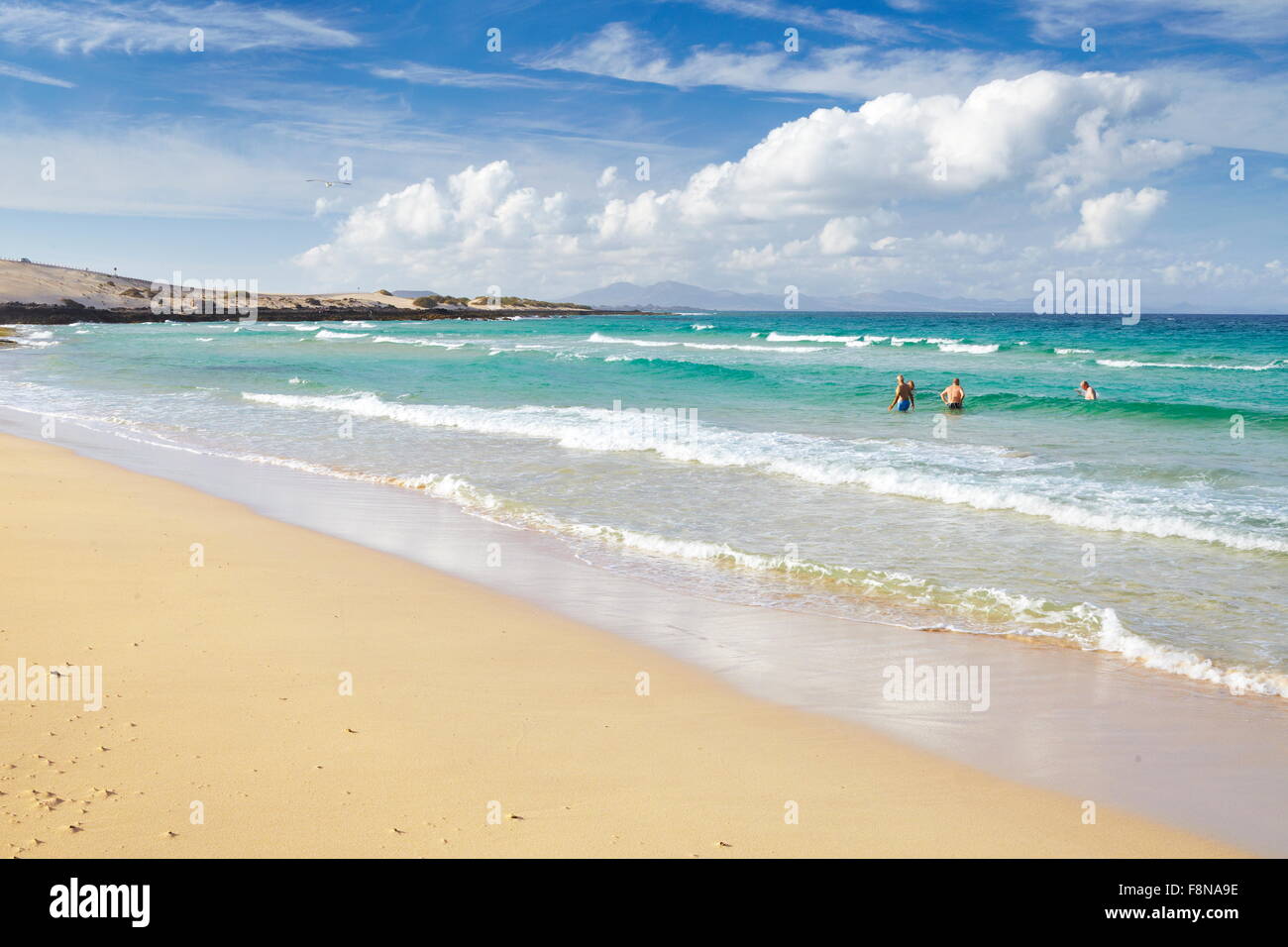 Fuerteventura Island, beach near Corralejo, Parque Natural de Corralejo ...