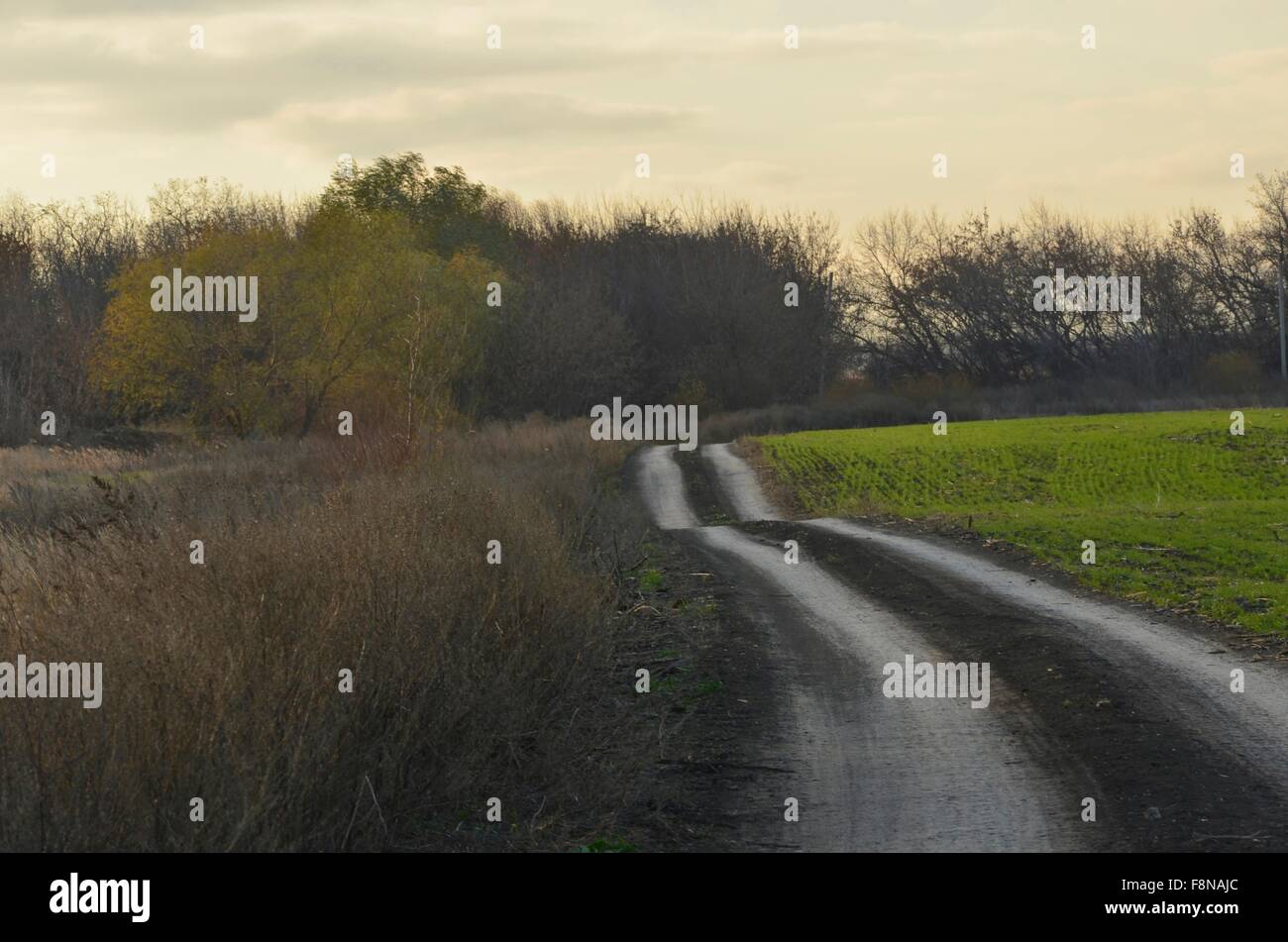 Spring landscape with green grass, road and clouds Stock Photo - Alamy