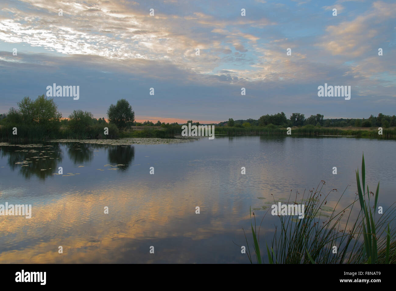 Reflection of the sunset sky in water Stock Photo - Alamy