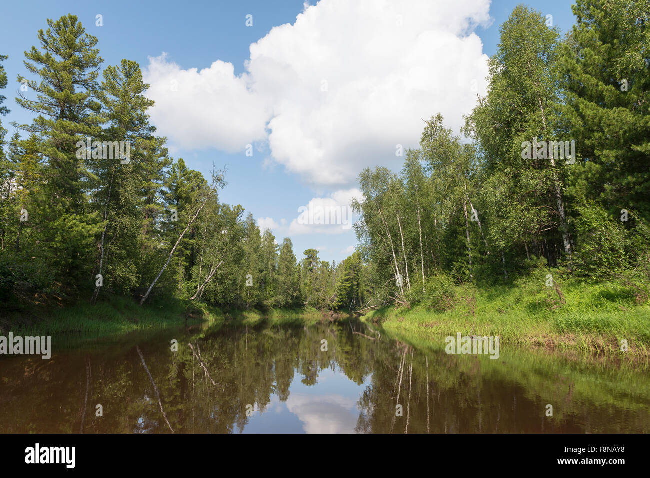 beautiful landscapes of the wild nature of the Yamal Peninsula, Russia ...