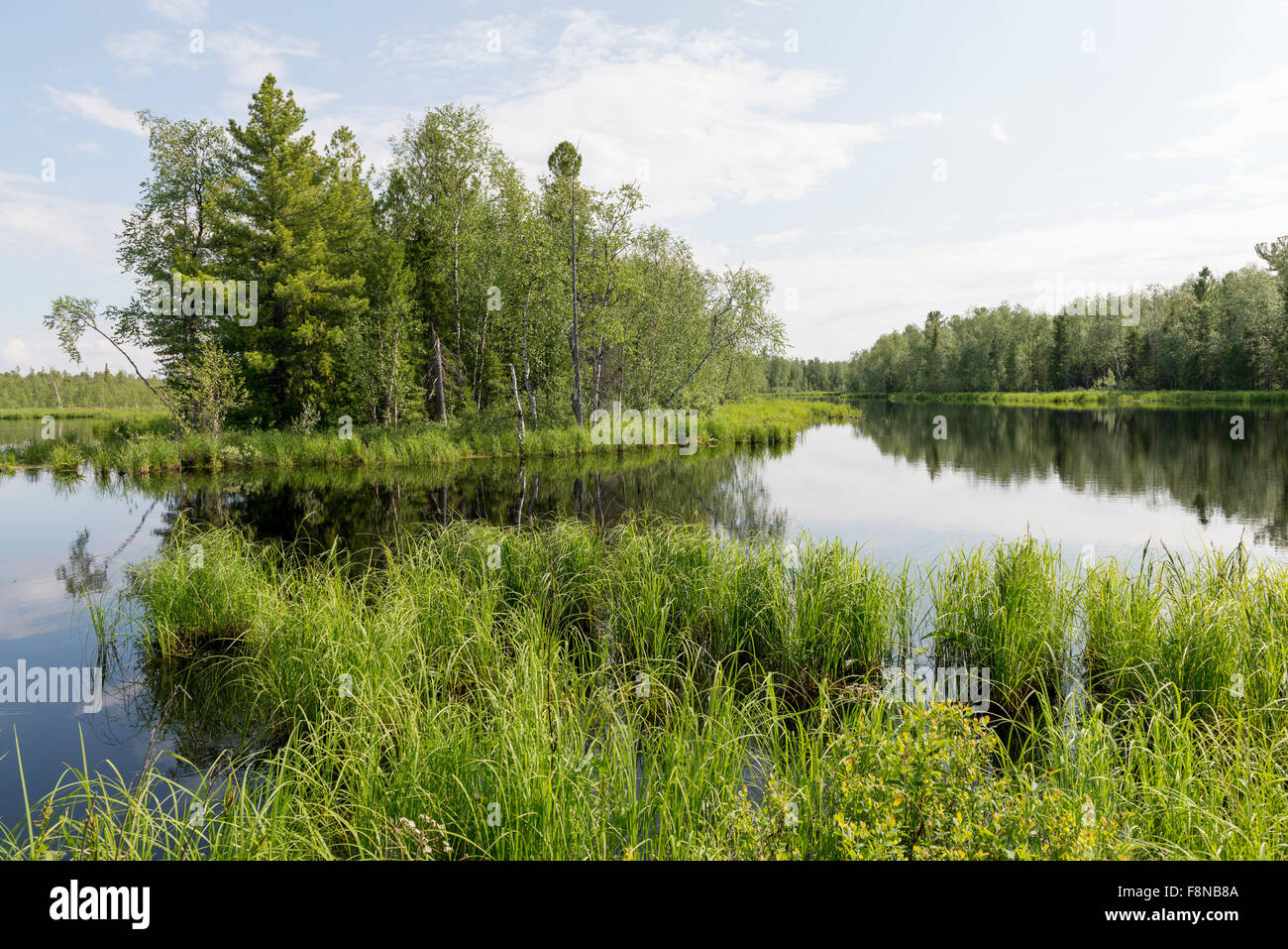 beautiful landscapes of the wild nature of the Yamal Peninsula, Russia ...