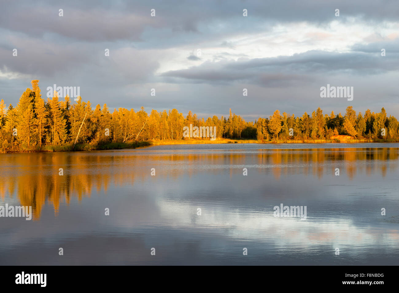 beautiful landscapes of the wild nature of the Yamal Peninsula, Russia ...