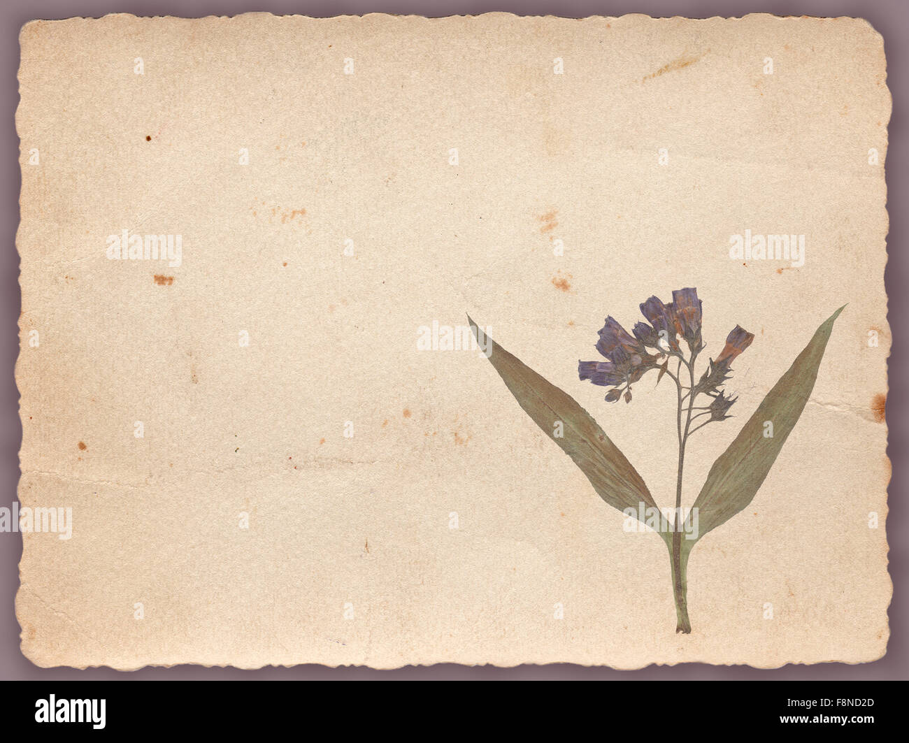 Old card hi-res stock photography and images - Alamy