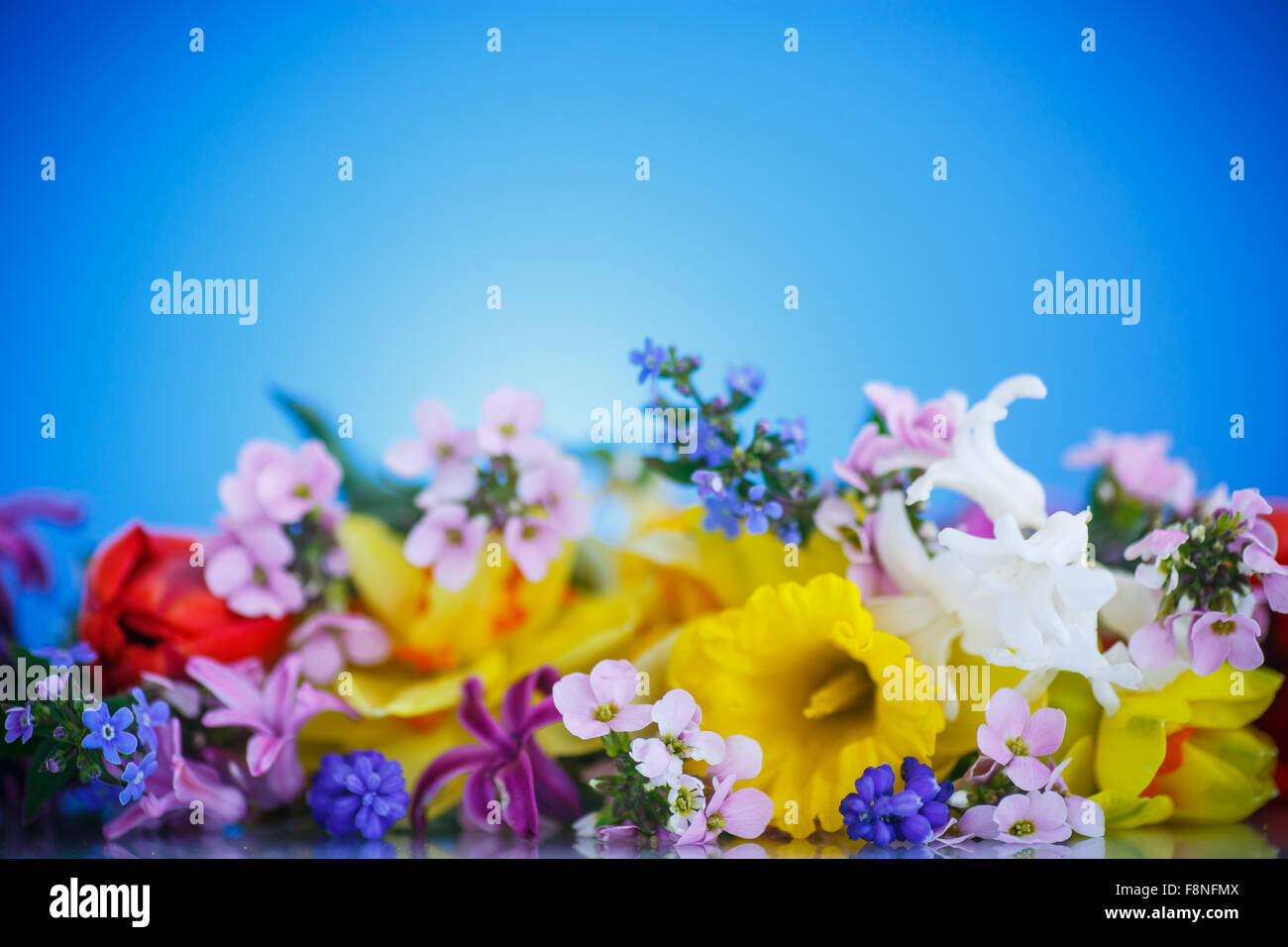 beautiful bouquet of spring flowers Stock Photo - Alamy