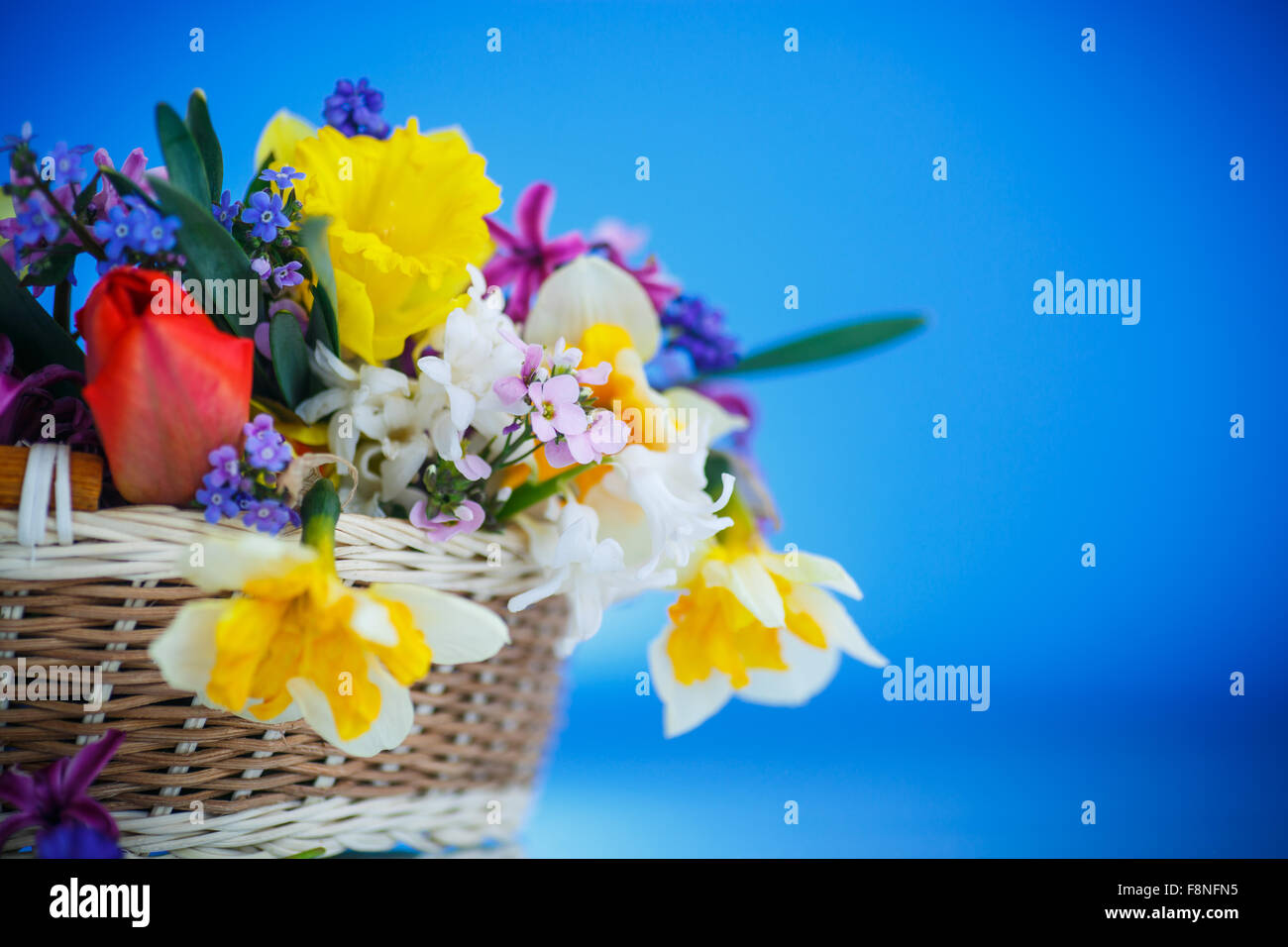 beautiful bouquet of spring flowers Stock Photo - Alamy