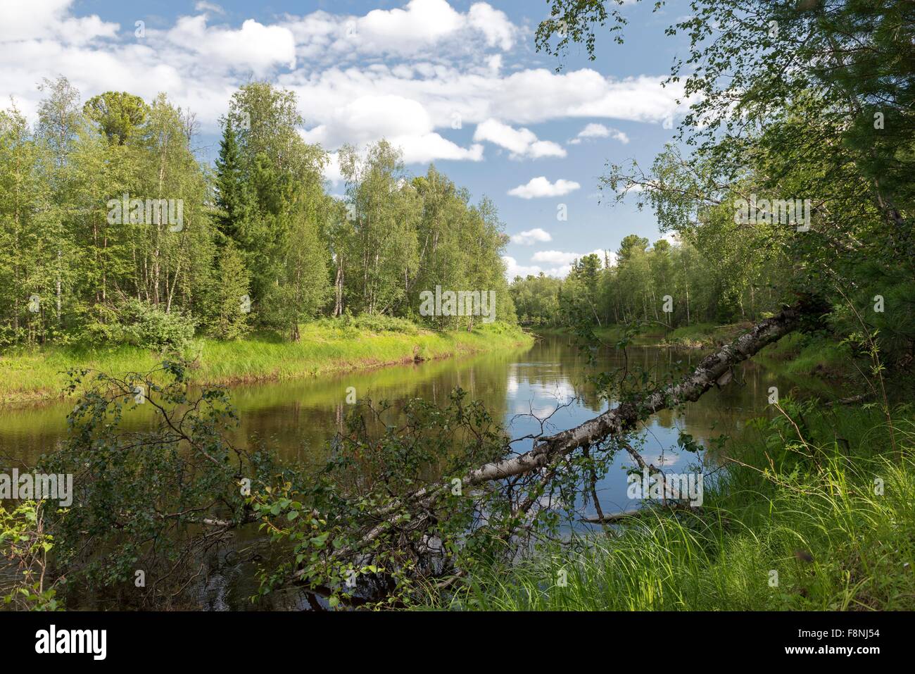 Yamal Peninsula Landscape