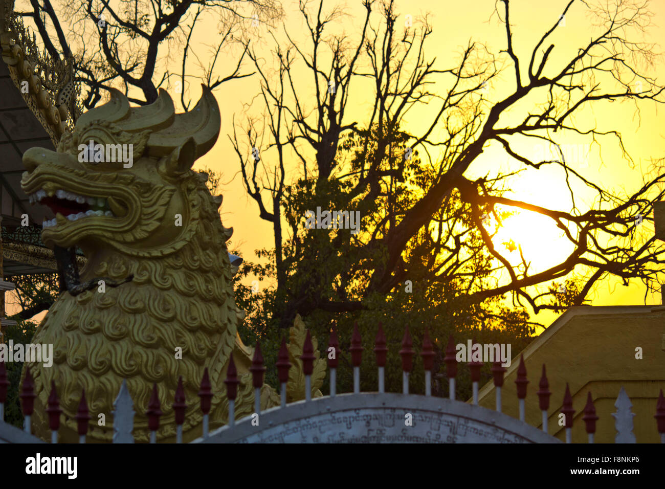 Sunset trough the tree branches Stock Photo - Alamy