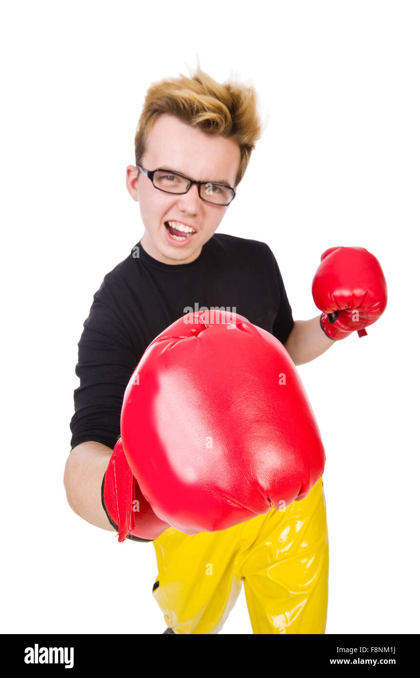 Funny boxer isolated on the white background Stock Photo - Alamy