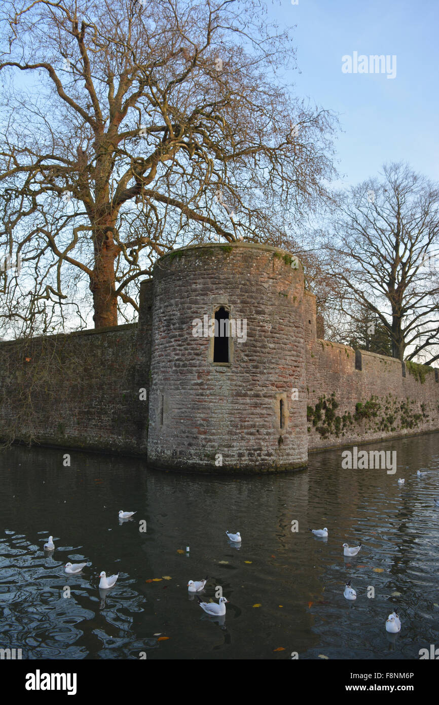 The moat surrounding The Bishop's Palace, Wells, Somerset, England ...