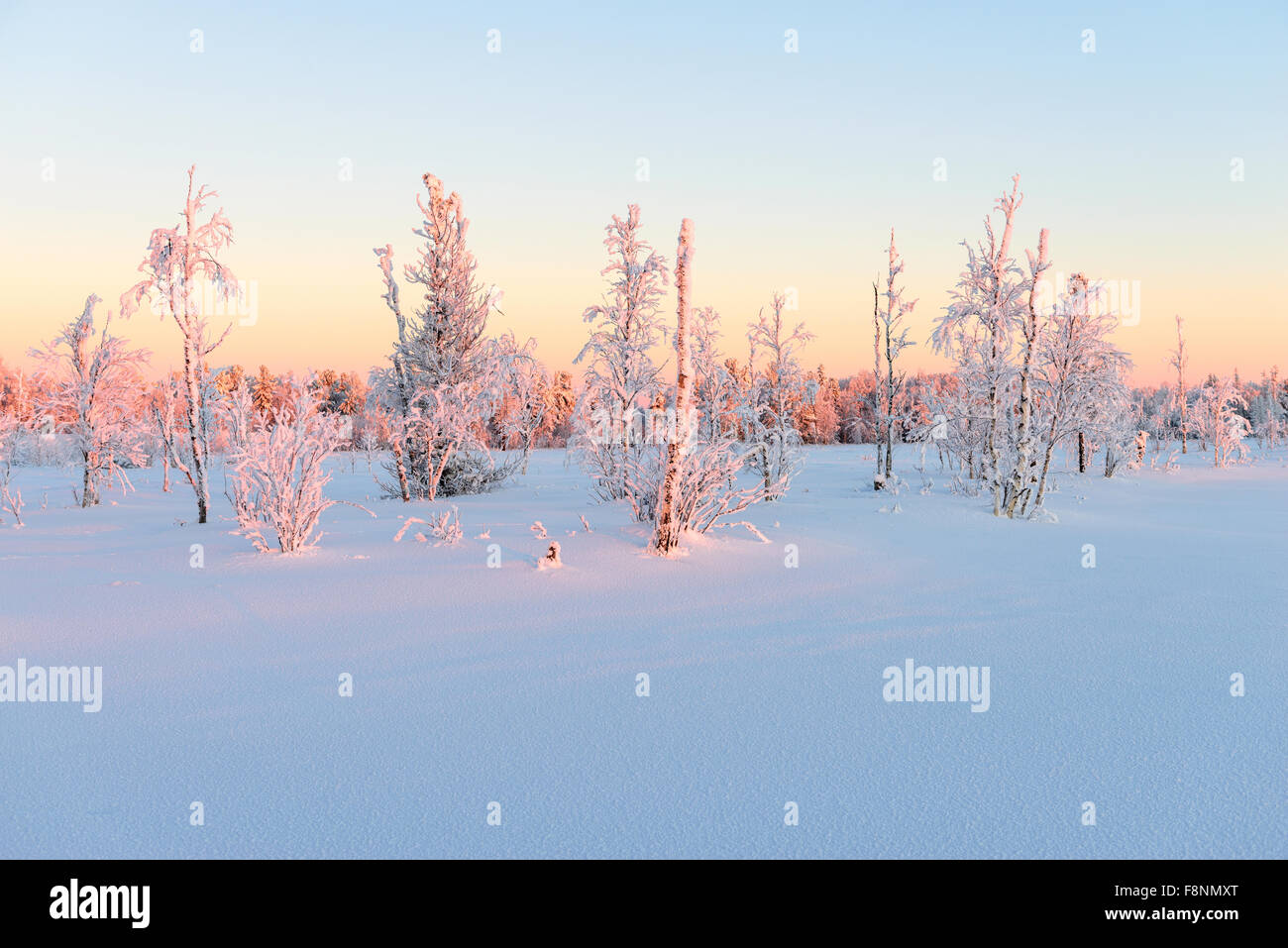 Yamal hi-res stock photography and images - Alamy