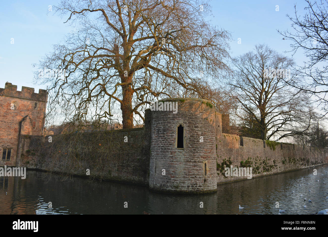 The moat surrounding The Bishop's Palace, Wells, Somerset, England ...