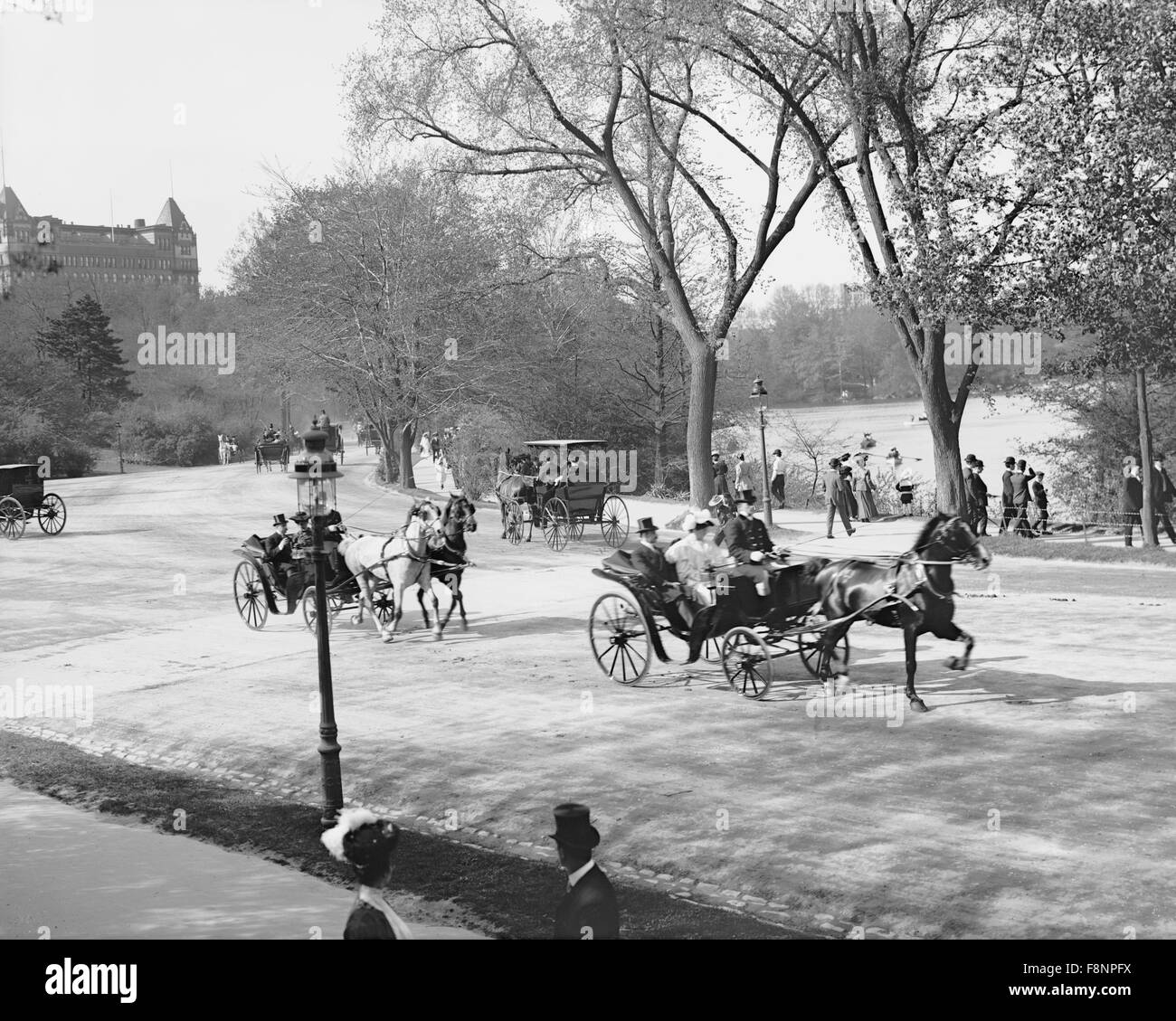 Coaches and carriages horse drawn Black and White Stock Photos & Images ...