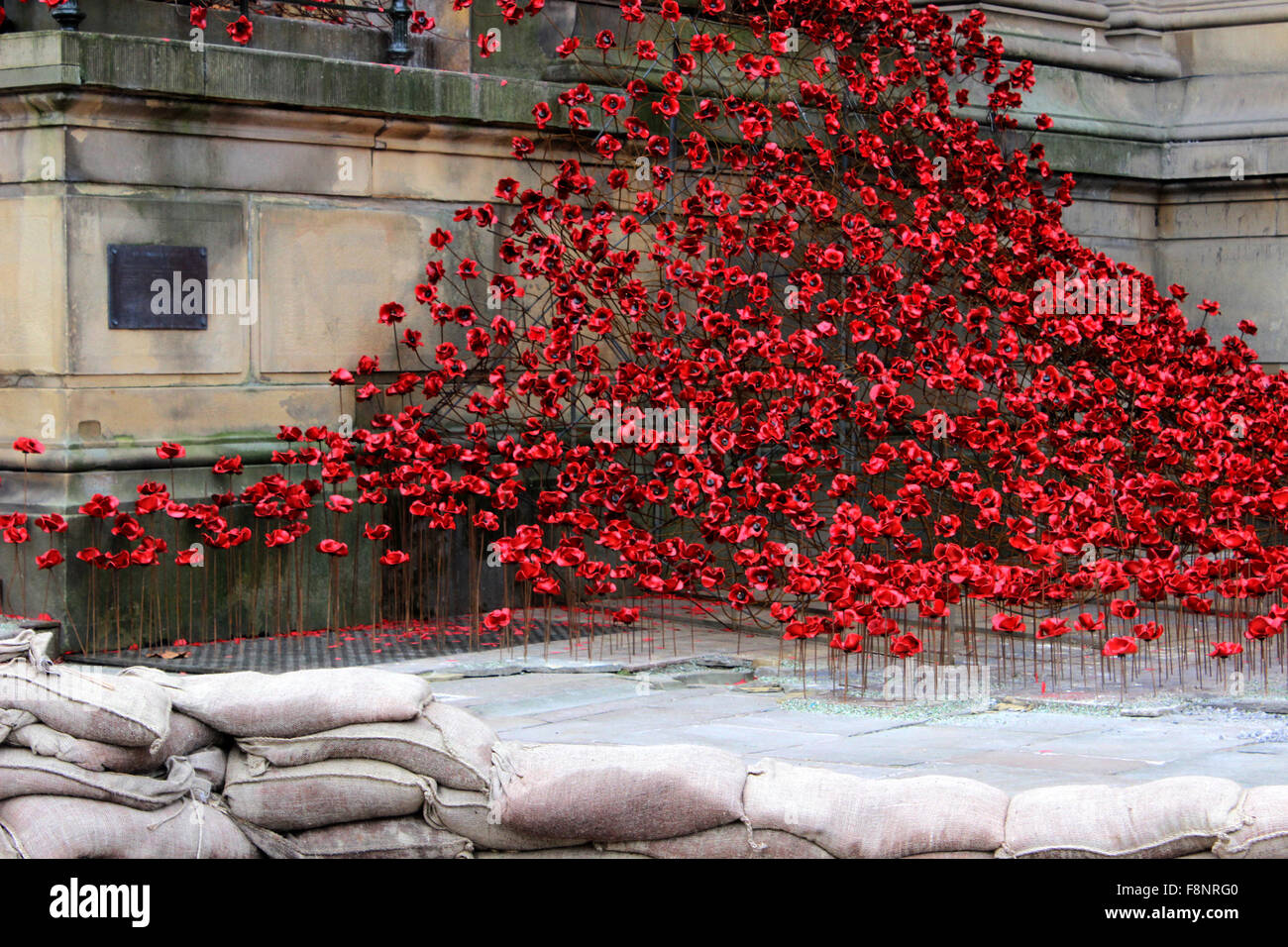 'Weeping Window' poppies at St George's Hall Liverpool Stock Photo - Alamy 'Weeping Window' poppies at St George's Hall Liverpool Stock Photo - Alamy