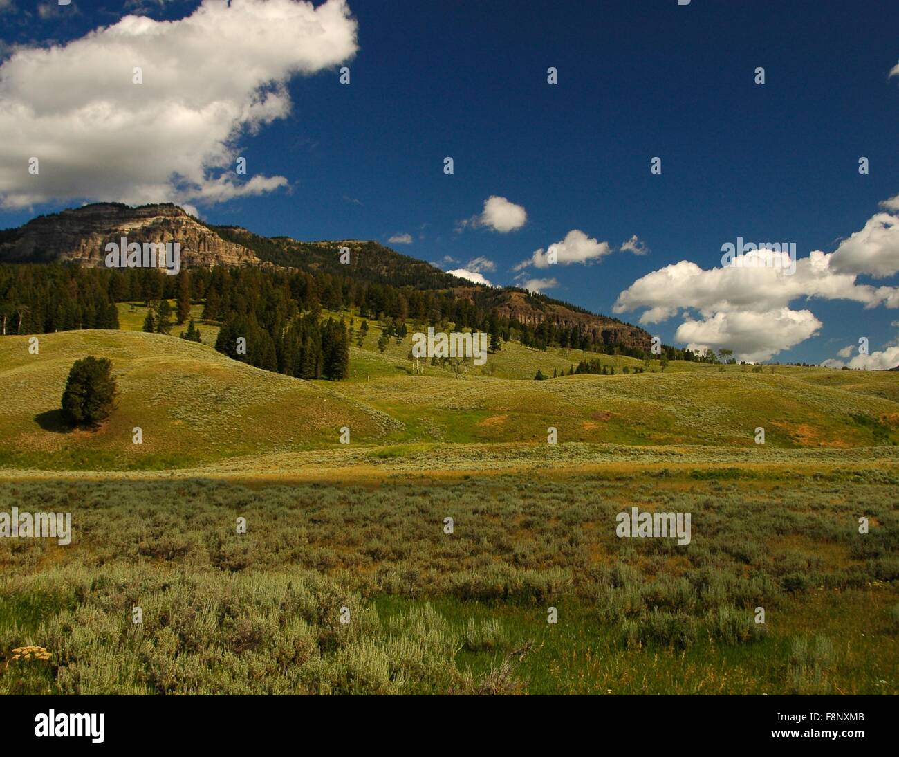 Beartooth highway yellowstone hi-res stock photography and images - Alamy