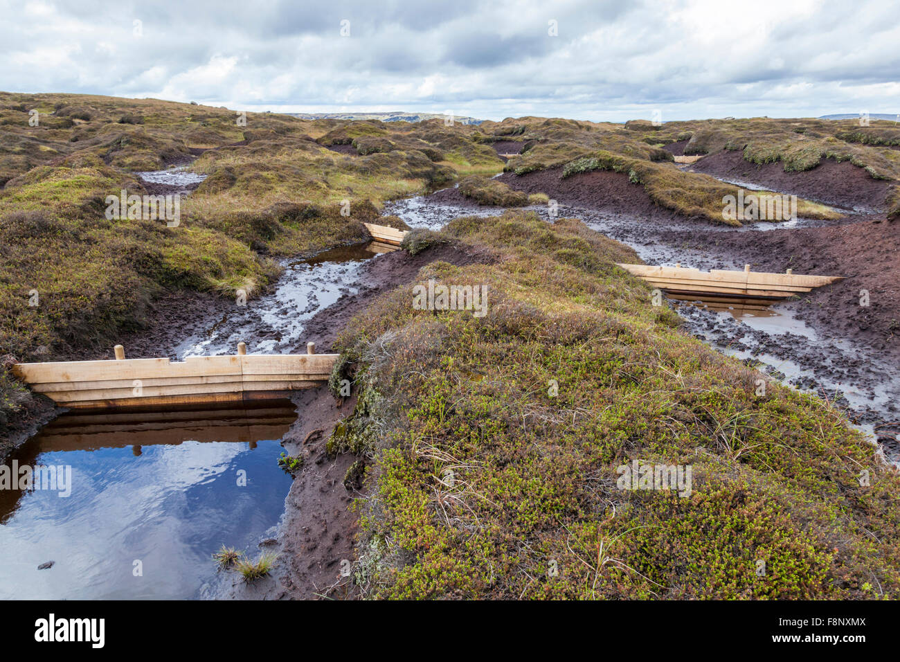 Restoring moorland using gully blocking on Kinder Scout, Derbyshire ...