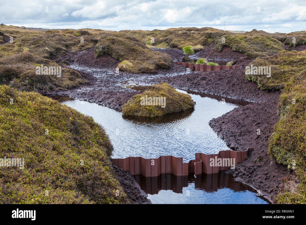 Restoring moors through using gully blocking to control erosion on the ...