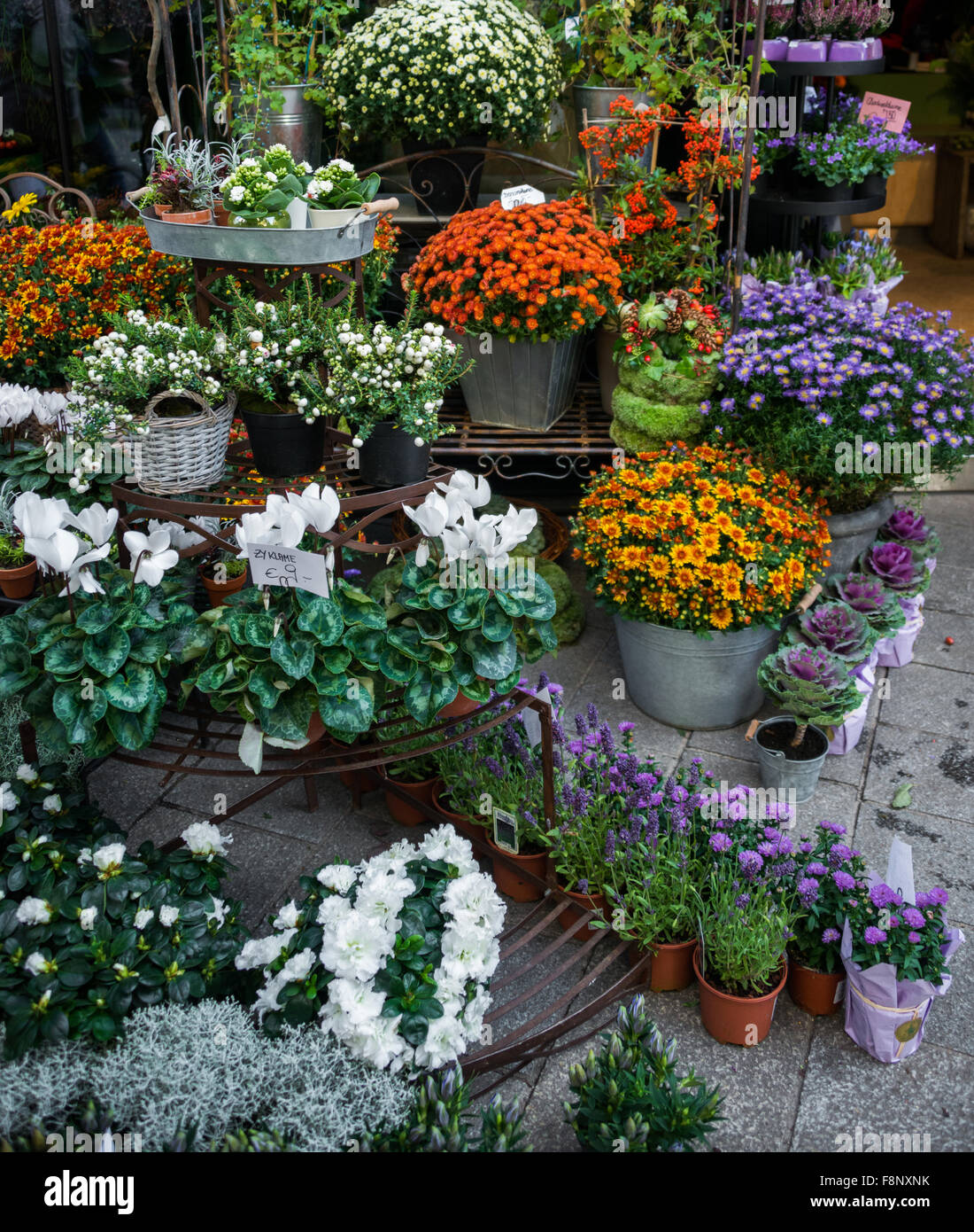 Street flower shop with colourful flowers Stock Photo - Alamy