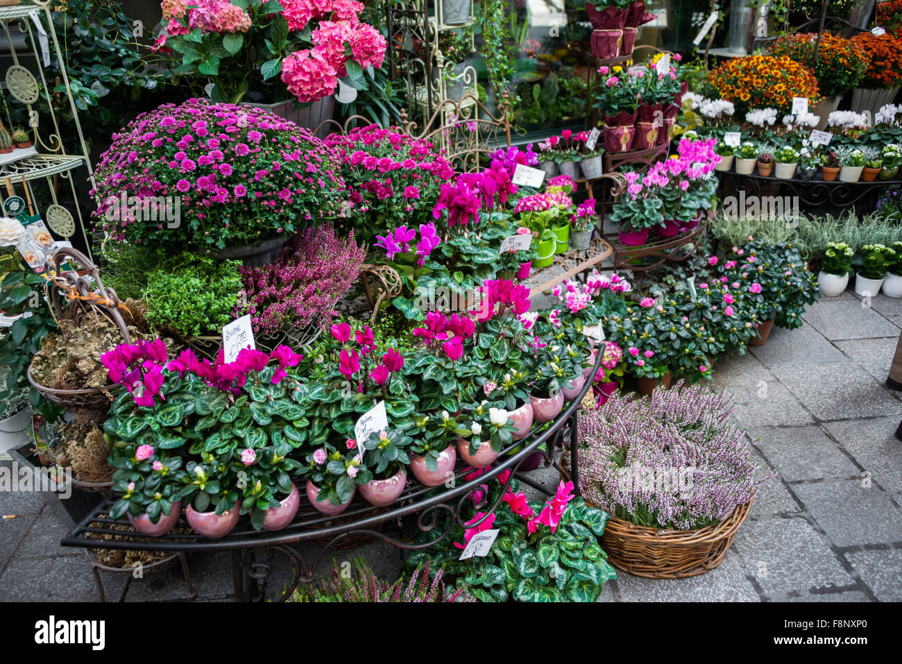Street flower shop with colourful flowers Stock Photo - Alamy