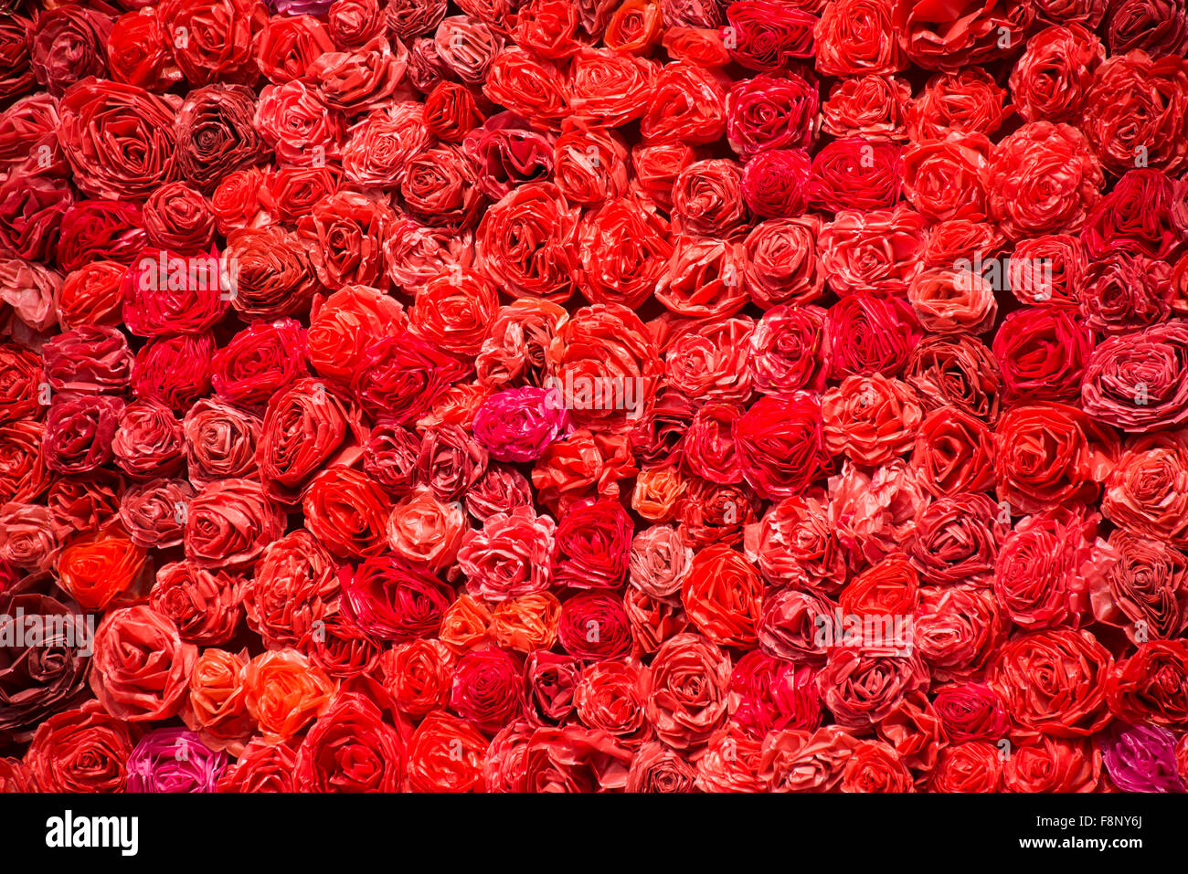 Background made of red roses Stock Photo - Alamy