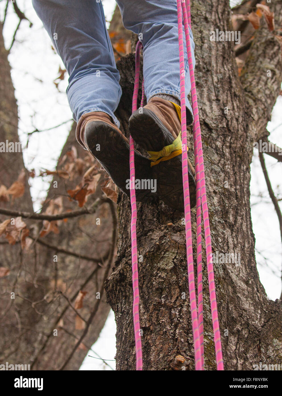 How to climb a tree hi-res stock photography and images - Alamy