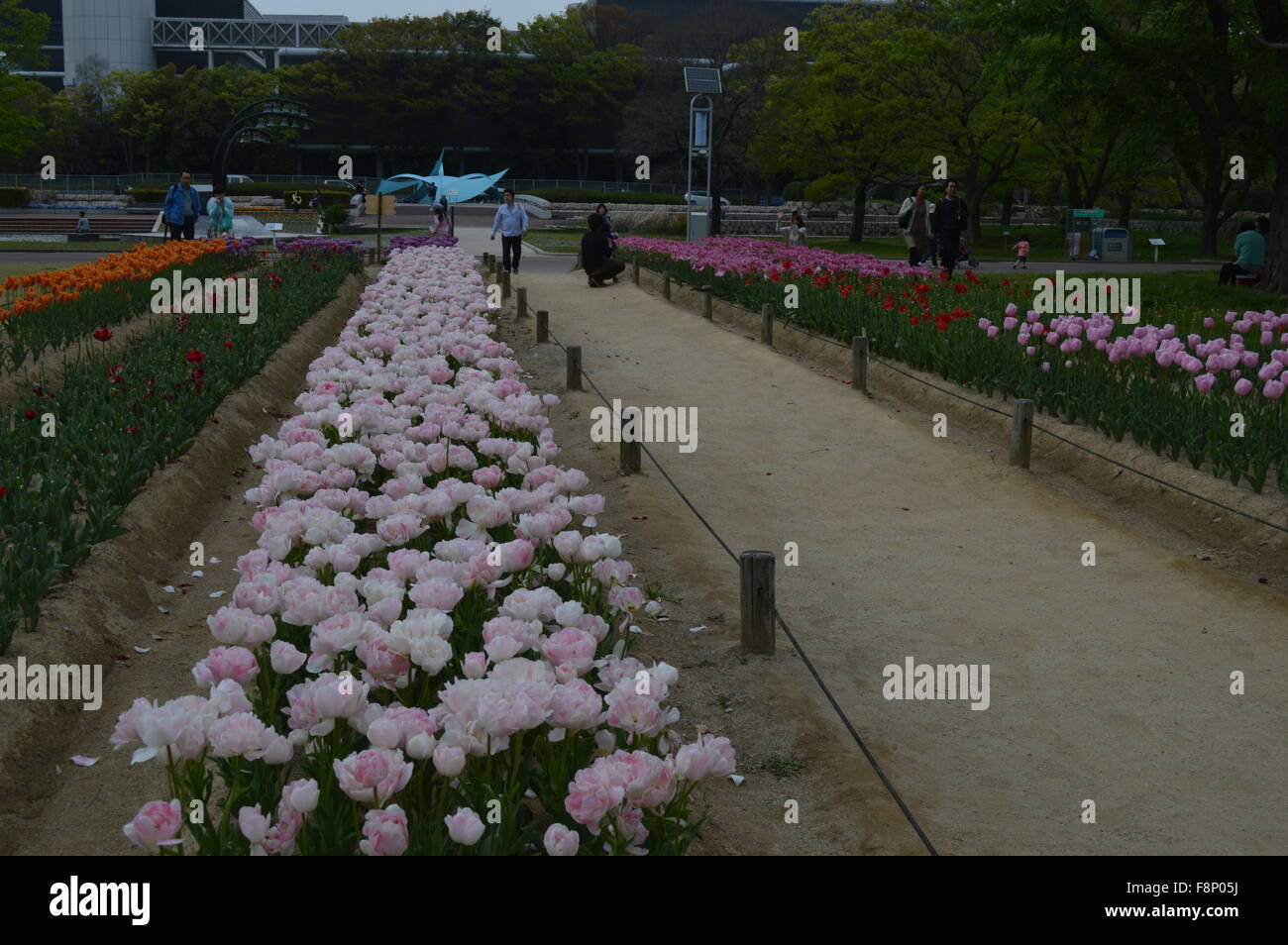 Banpaku koen hi-res stock photography and images - Alamy