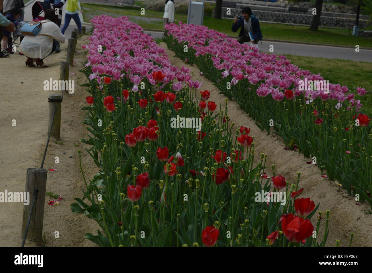 Banpaku koen hi-res stock photography and images - Alamy