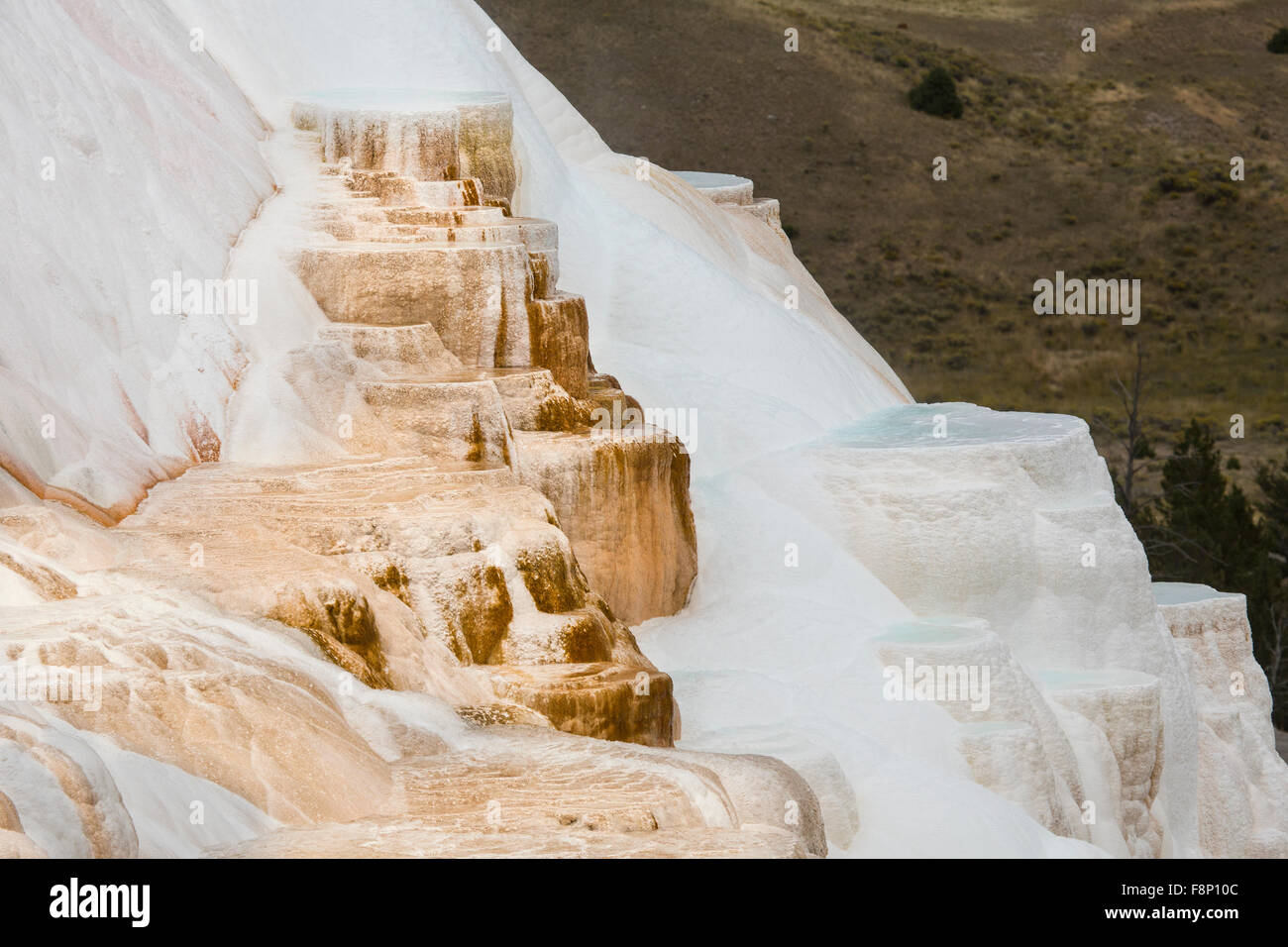 Geothermal flow of hot, carbonate rich water, forms cascading, dark ...