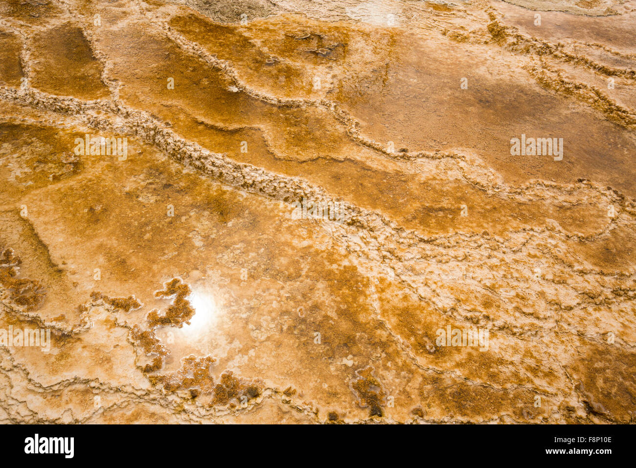Yellowstone geothermal pools hi-res stock photography and images - Alamy