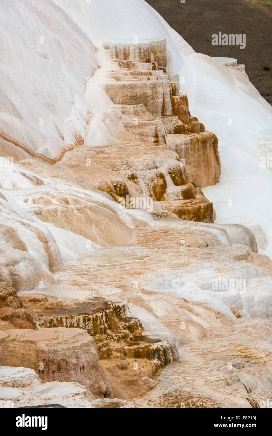 Geothermal flow of hot, carbonate rich water, forms cascading, dark ...