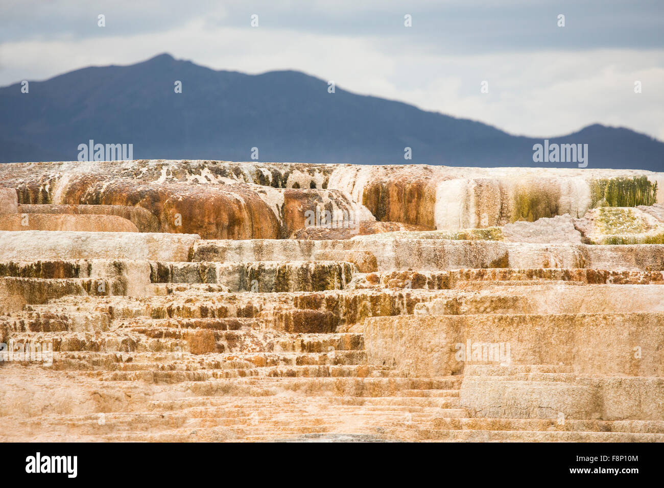Geothermal flow of hot, carbonate rich water, forms cascading, dark ...