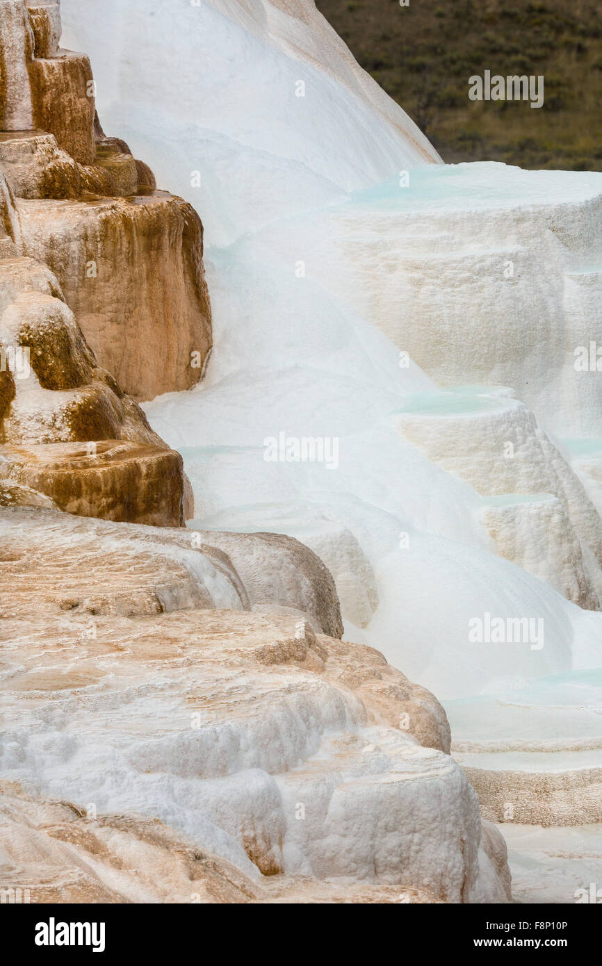 Geothermal flow of hot, carbonate rich water, forms cascading, dark ...