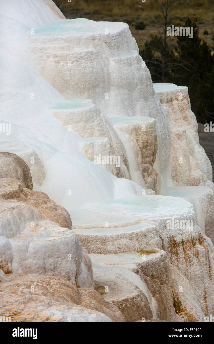 Geothermal flow of hot, carbonate rich water, forms cascading, dark ...