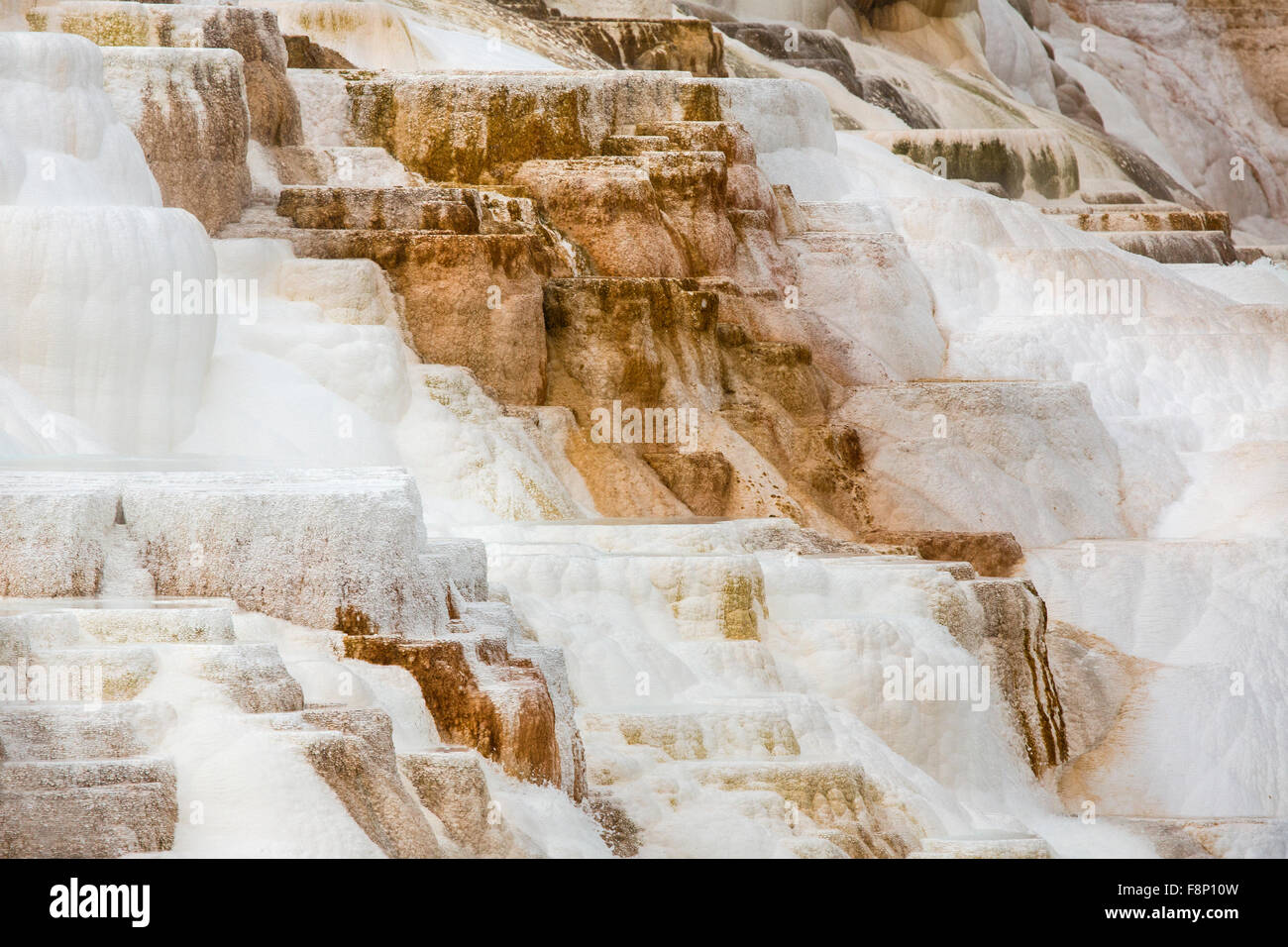 Geothermal flow of hot, carbonate rich water, forms cascading, dark ...