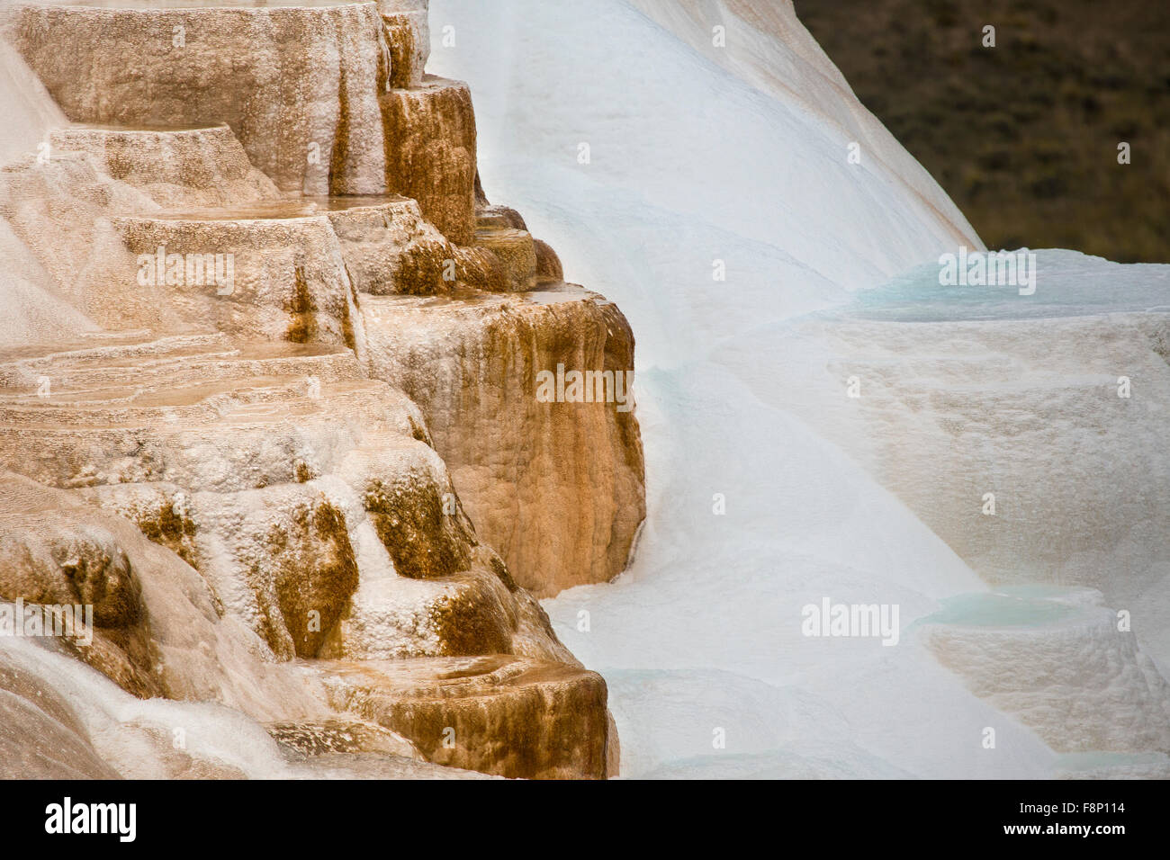 Geothermal flow of hot, carbonate rich water, forms cascading, dark ...