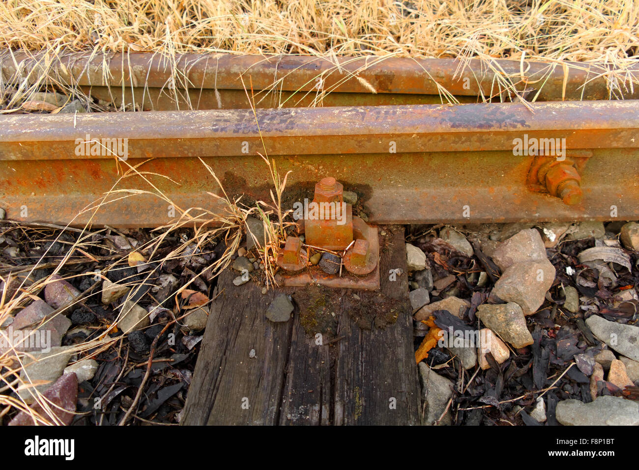 closeup of an old rusty screw in rails Stock Photo - Alamy