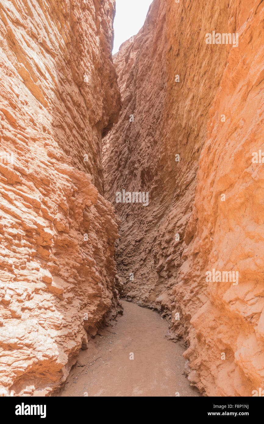 Narrow path way hi-res stock photography and images - Alamy