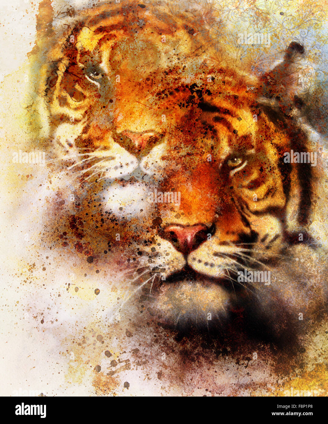 tiger collage on color abstract background and mandala with ornament ...