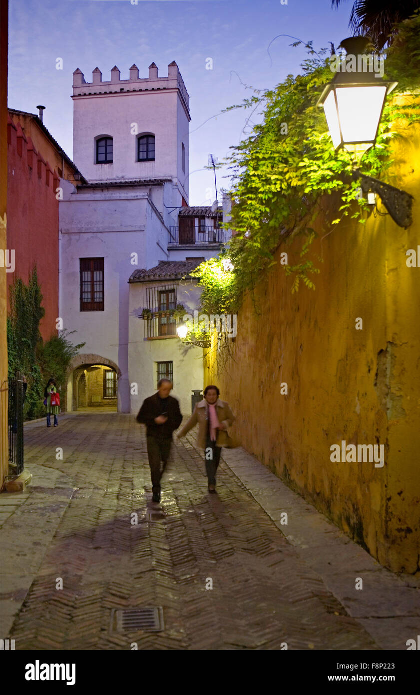 Alley of The Judería ( old Jewish quarter).In Santa Cruz quarter ...