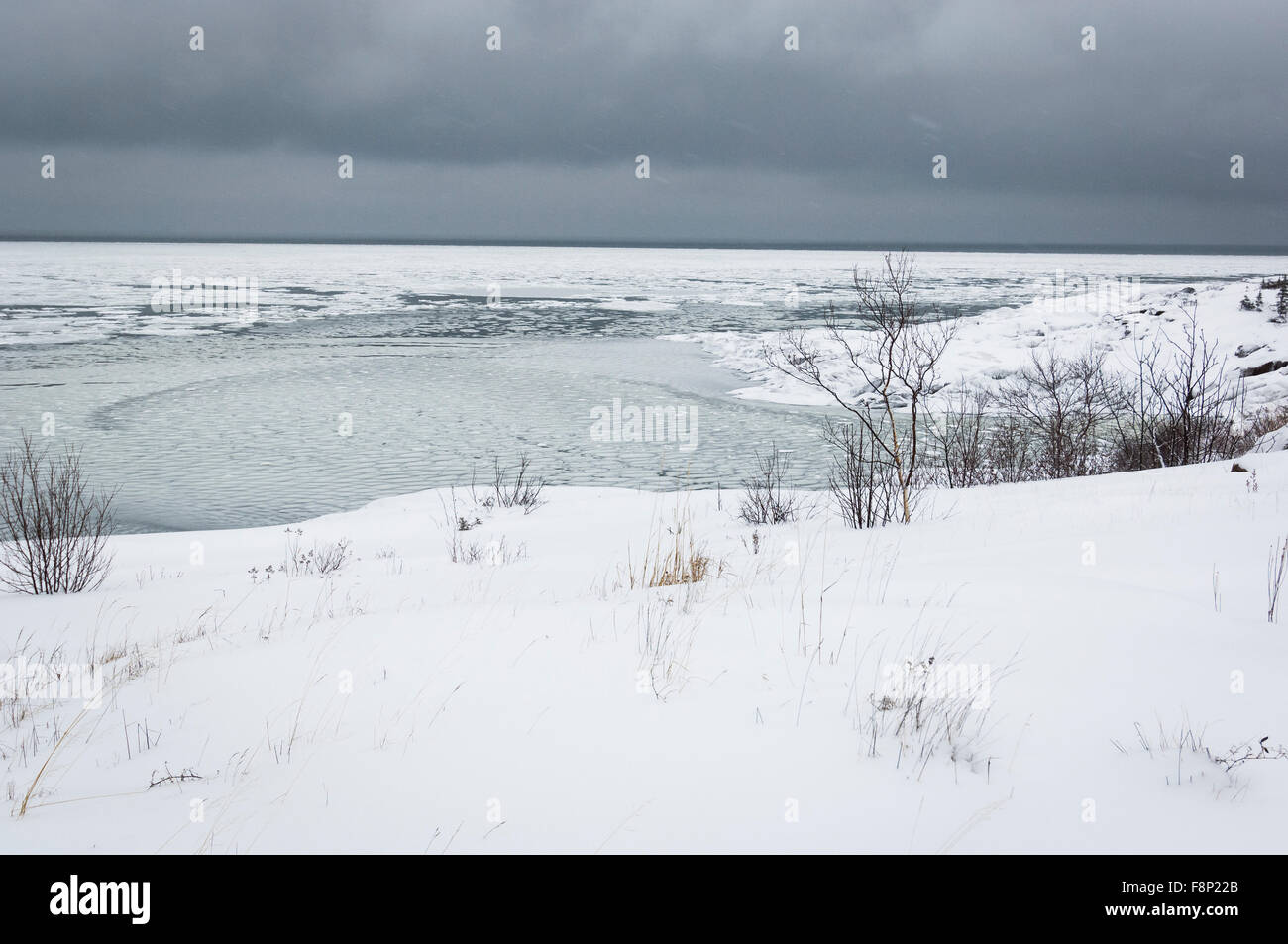 Lawrence white hi-res stock photography and images - Alamy