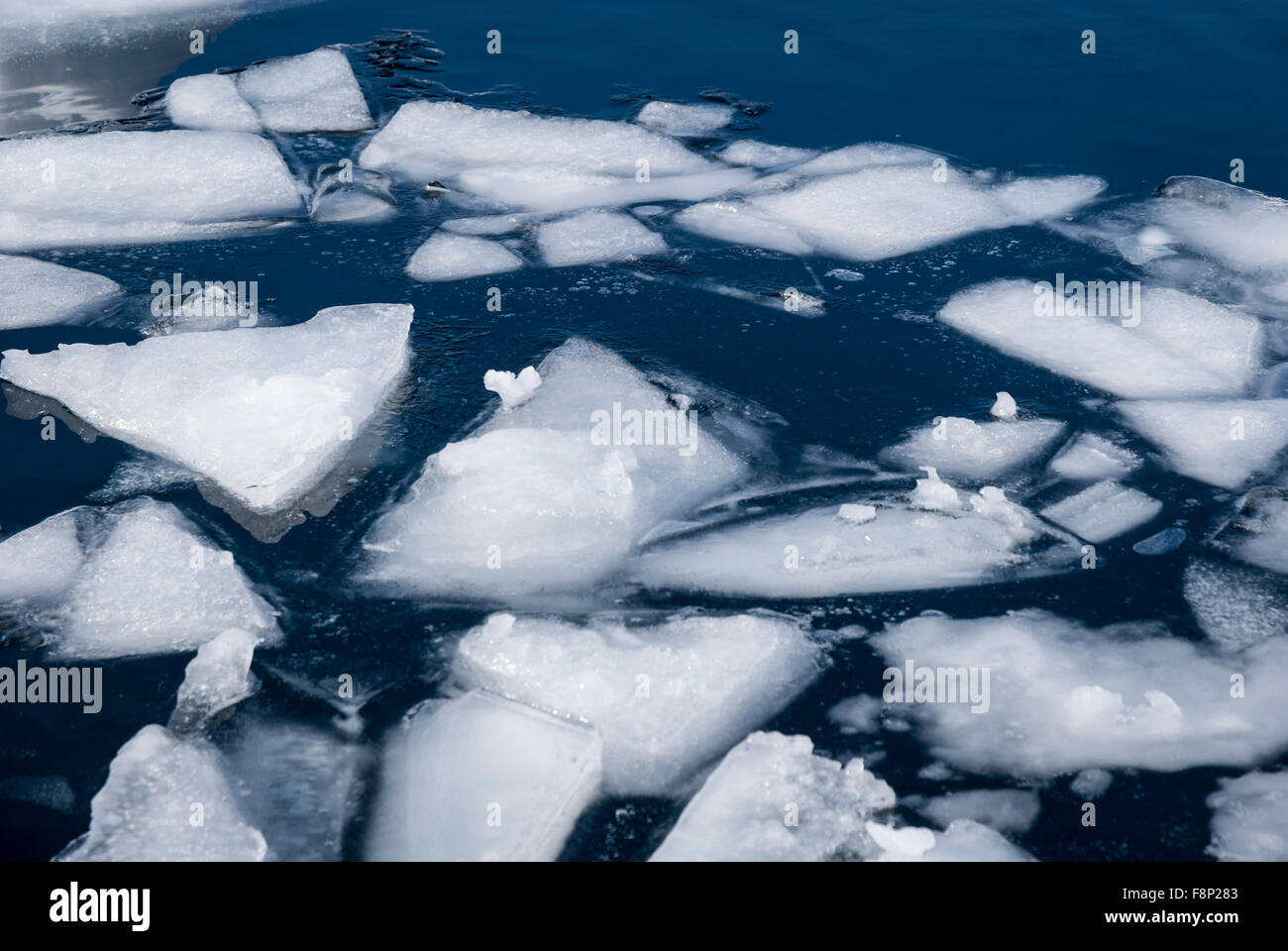Ice floating at the surface in winter Stock Photo - Alamy