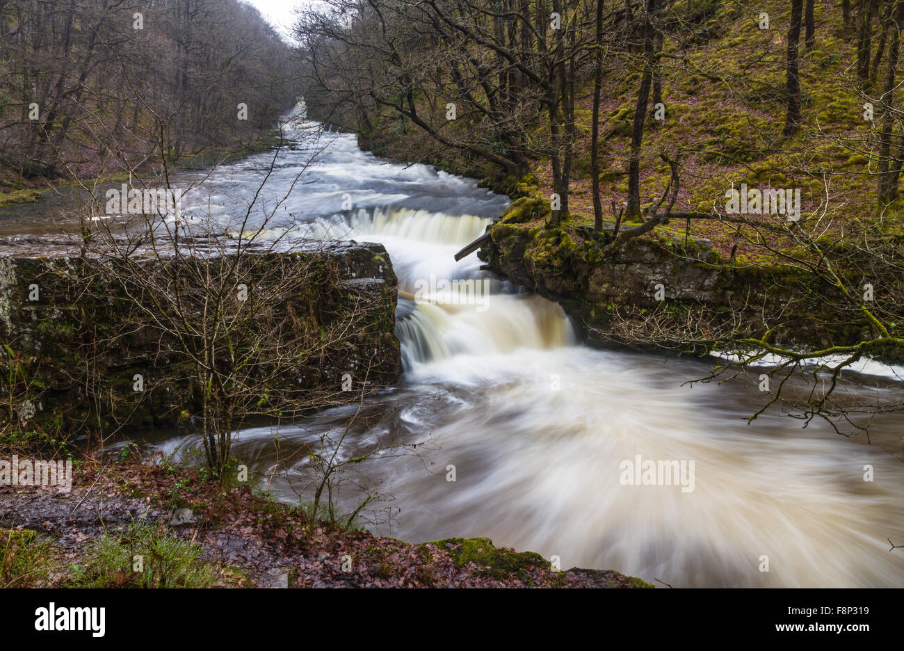 Sgwd y Bedol Falls, waterfall. Pontneddfechan, Vale of Neath, Powys ...