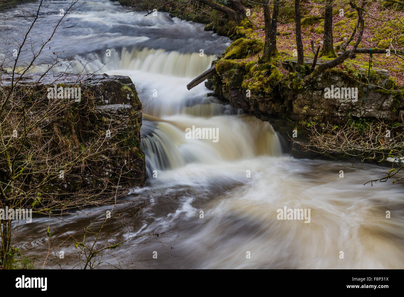 Sgwd y Bedol Falls, waterfall. Pontneddfechan, Vale of Neath, Powys ...