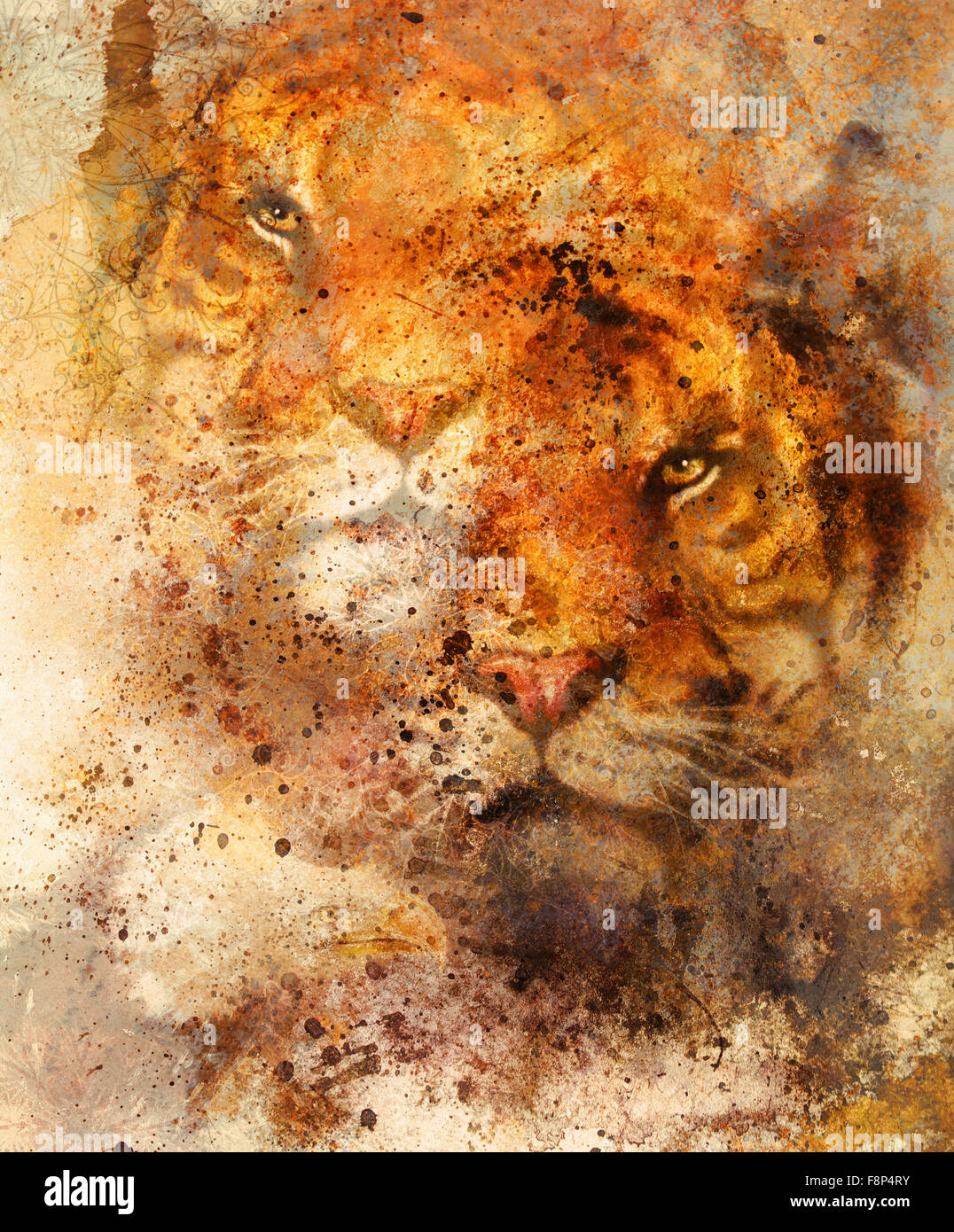 tiger collage on color abstract background and mandala with ornamet ...