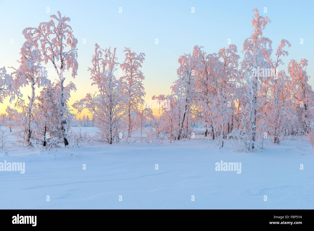 beautiful landscapes of the wild nature of the Yamal Peninsula, Russia ...