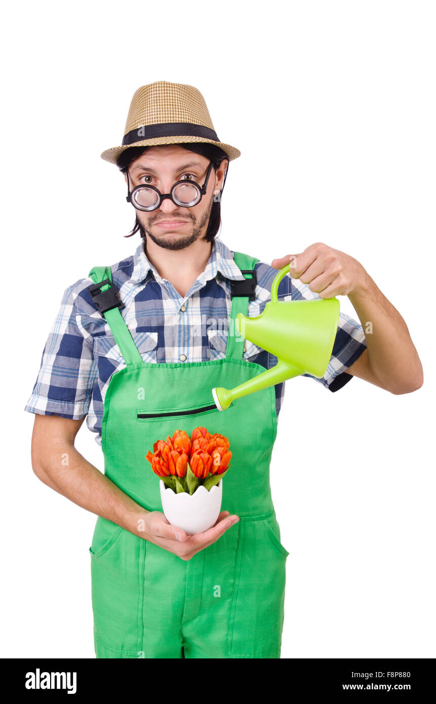 Young funny gardener with tulips isolated oin white Stock Photo - Alamy