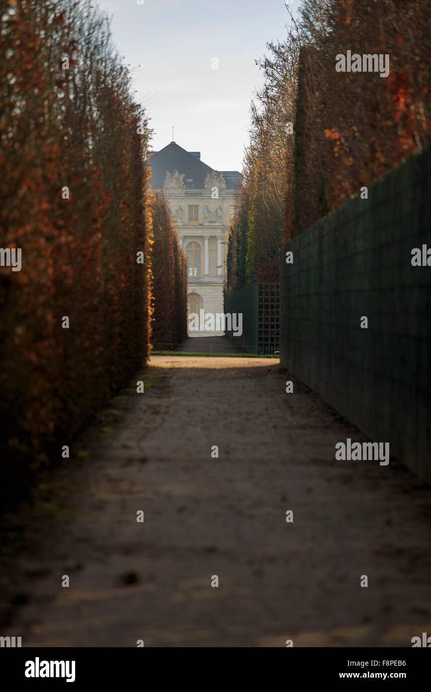 Tall strands of trees in the gardens of the Palace of Versailles, Paris ...