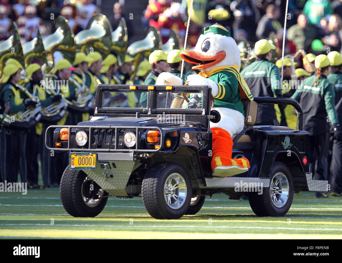 Autzen Stadium, Eugene, OR, USA. 21st Nov, 2015. The Oregon Duck rides ...